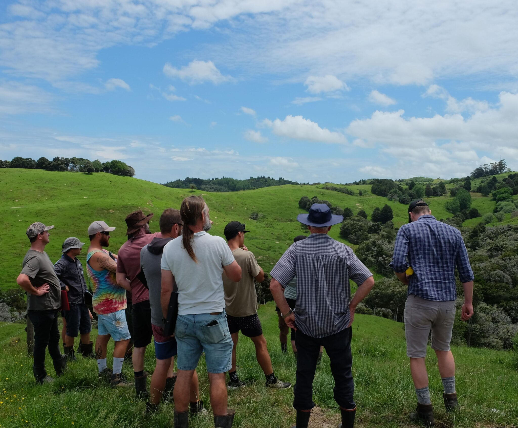 Resources - Kaipara Moana Remediation